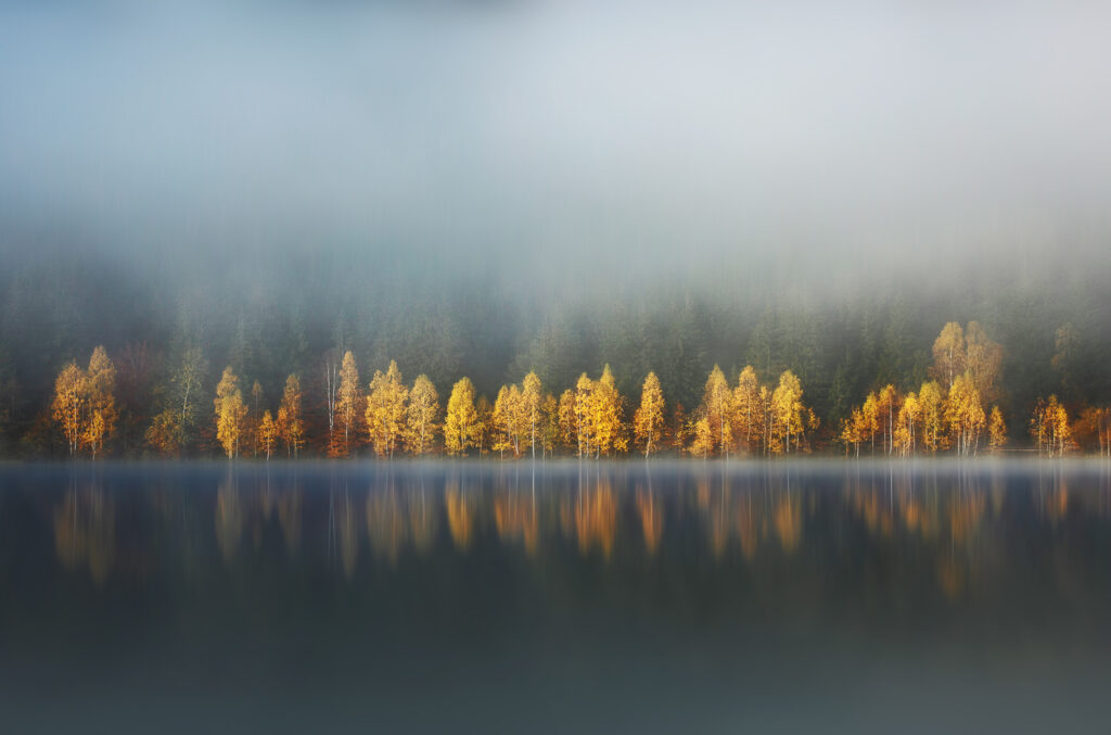 Autumn reflections - SimplyArt - Facem arta accesibilă