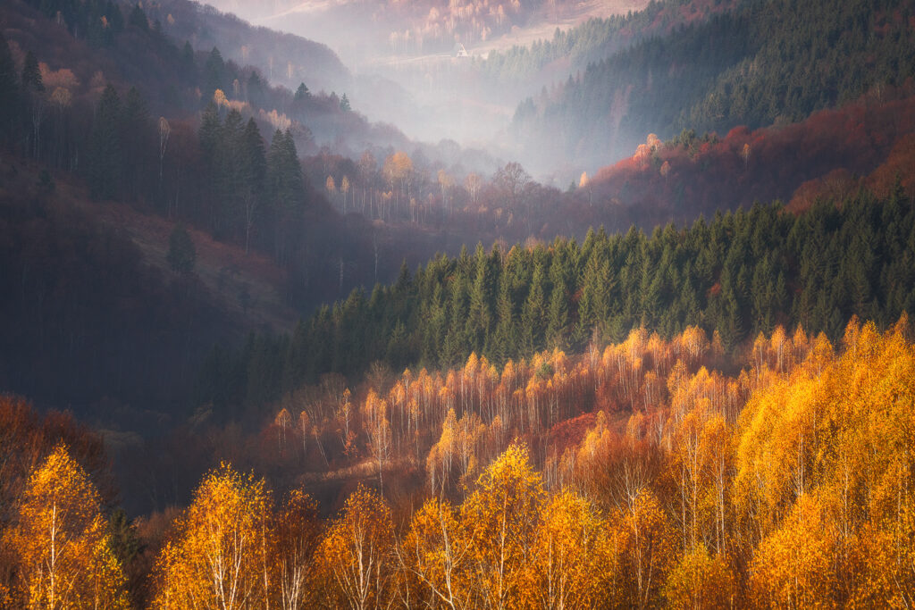 Moody autumn - SimplyArt - Facem arta accesibilă